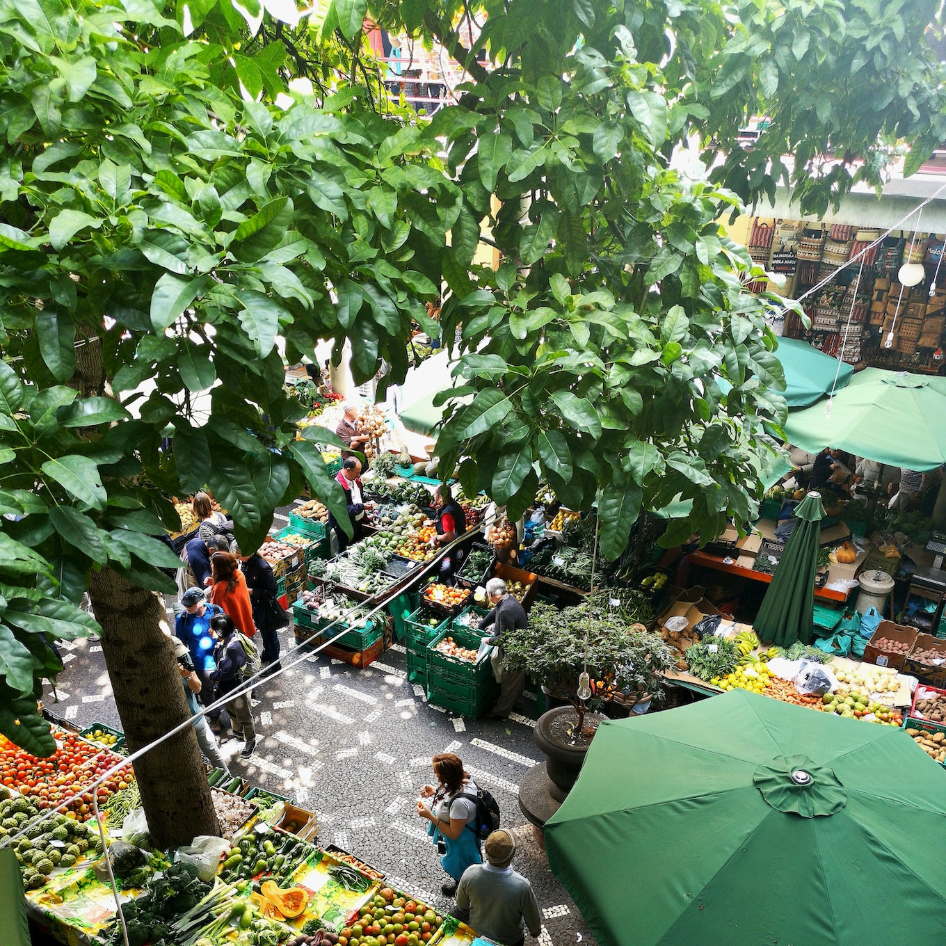 Crydis - Unraveling the Impact of Blockchain Implementation in Fintech